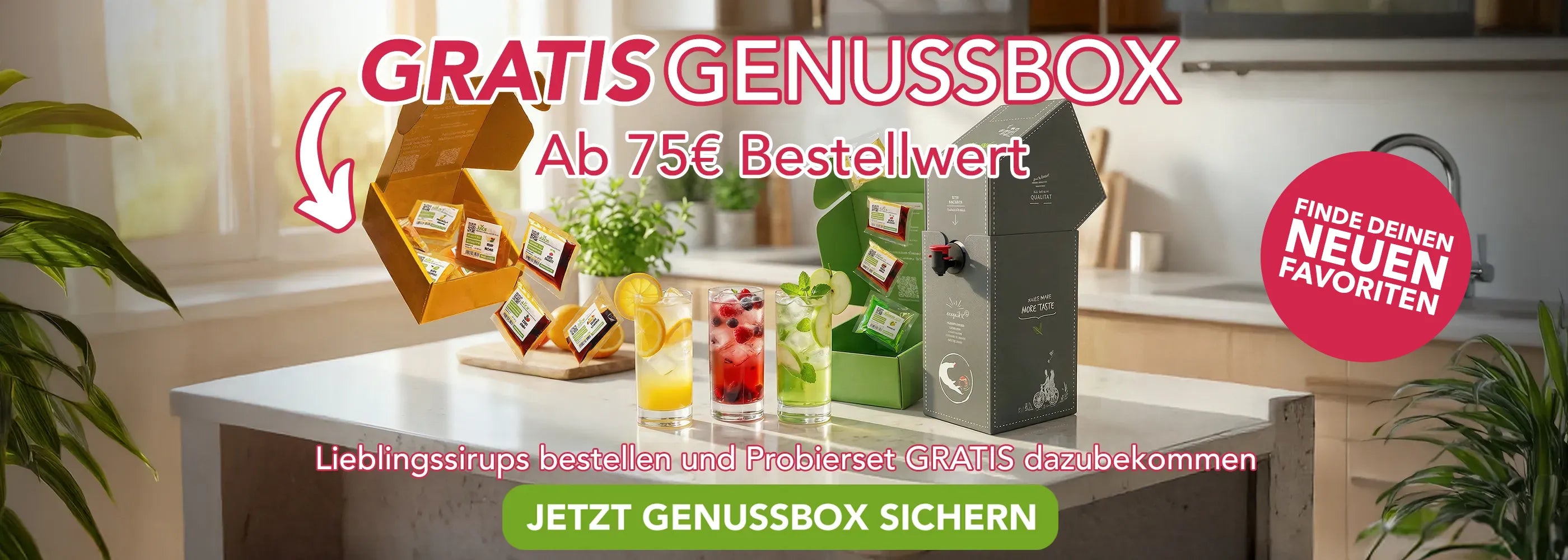 Juice Box - Unglaublicher Genuss in 2 Liter Sirup Boxen